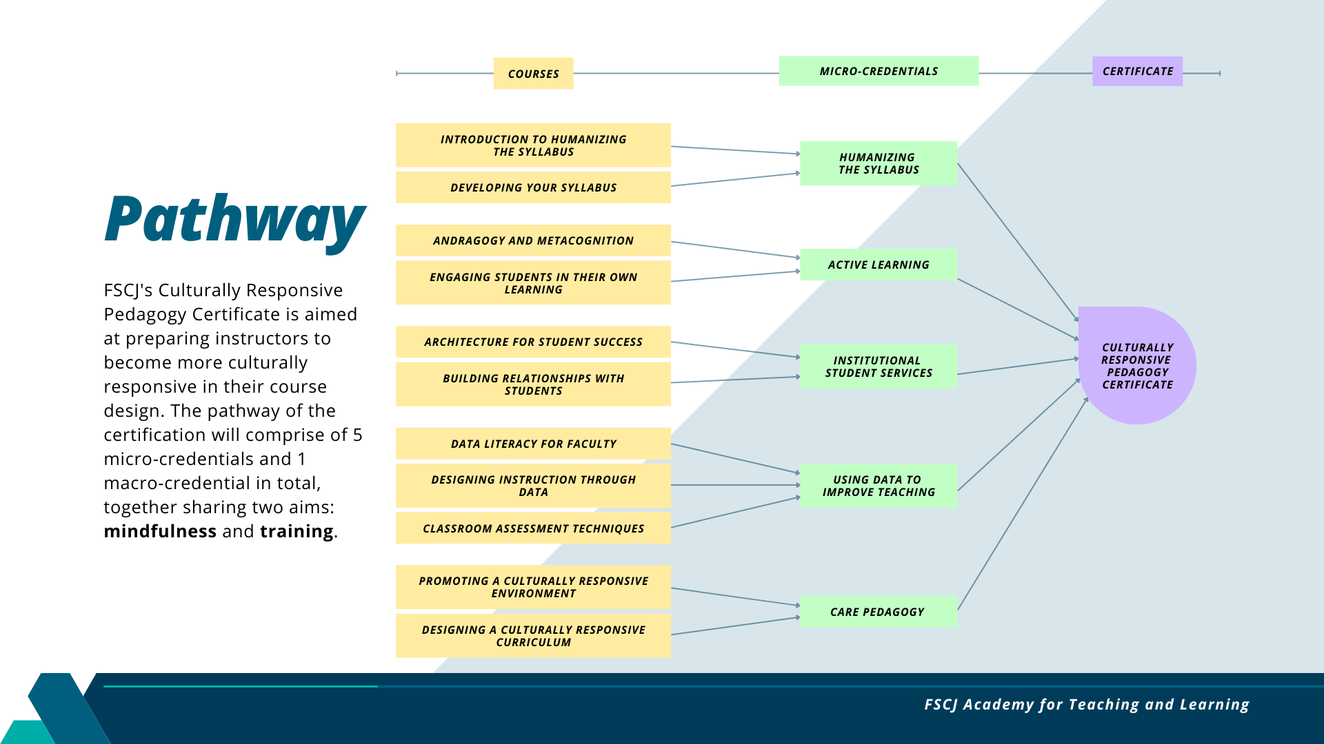 Culturally Responsive Pedagogy Certificate